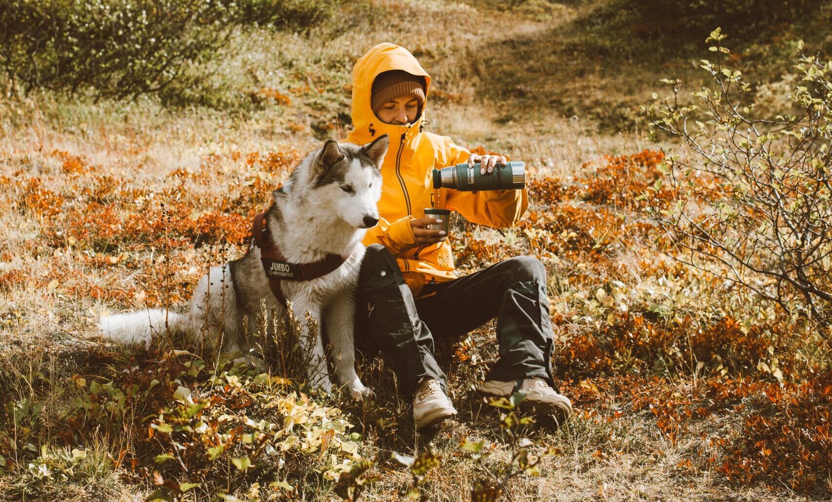 Essence, Supposit, Hypostatis, and Persons: A Beginner's Guide - Ad Fontes